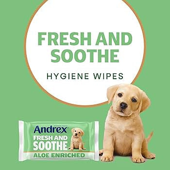 Are Andrex Biodegradable Wipes the Best Eco-Friendly Option — Supamart